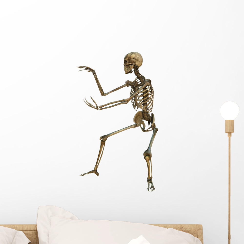 Human Skeleton Wall Decal – Wallmonkeys