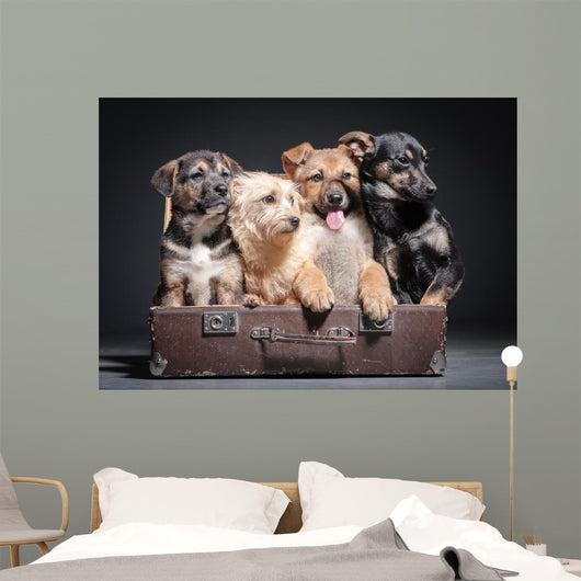 Dog Wall Mural – Wallmonkeys
