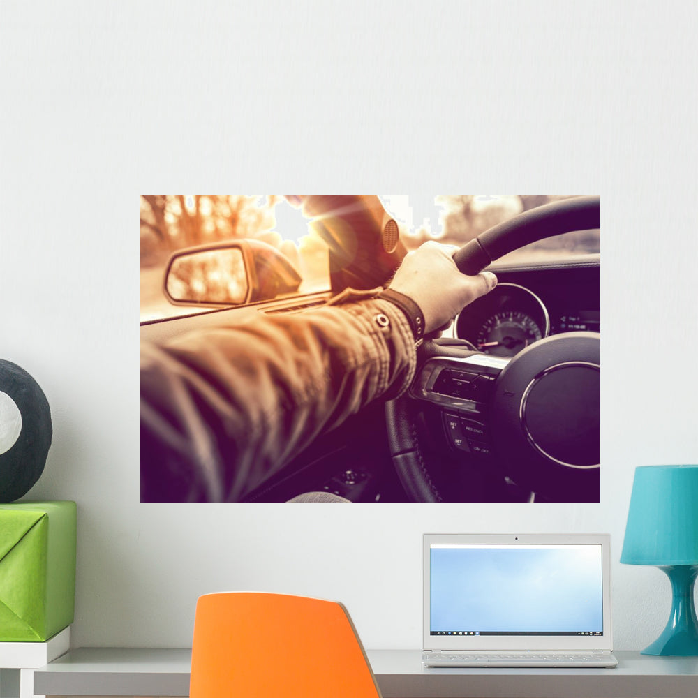 Hand Wheel Car Driving Wall Decal - WallMonkeys.com – Wallmonkeys
