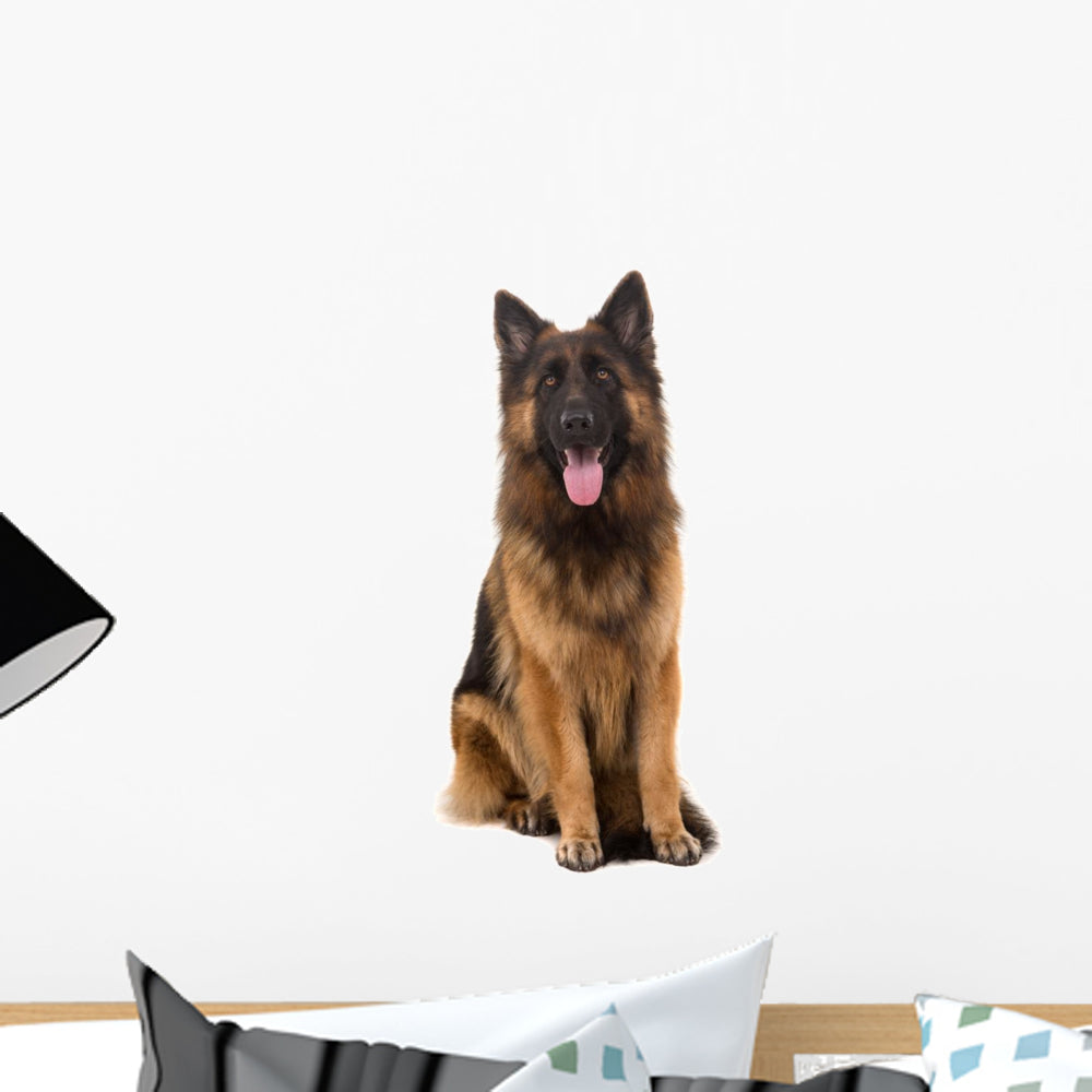 German Shepherd Dog Wall Decal - WallMonkeys.com – Wallmonkeys