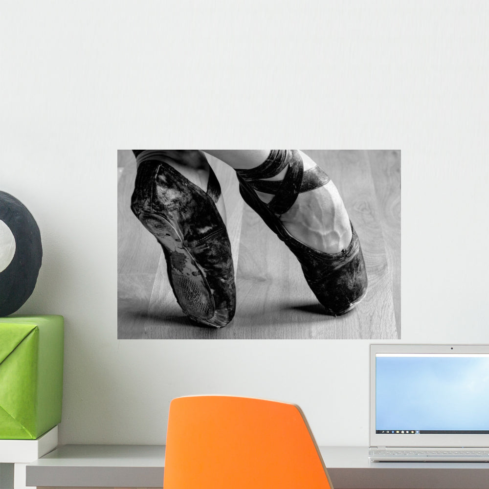 Ballet Shoe Wall Decal - WallMonkeys.com – Wallmonkeys