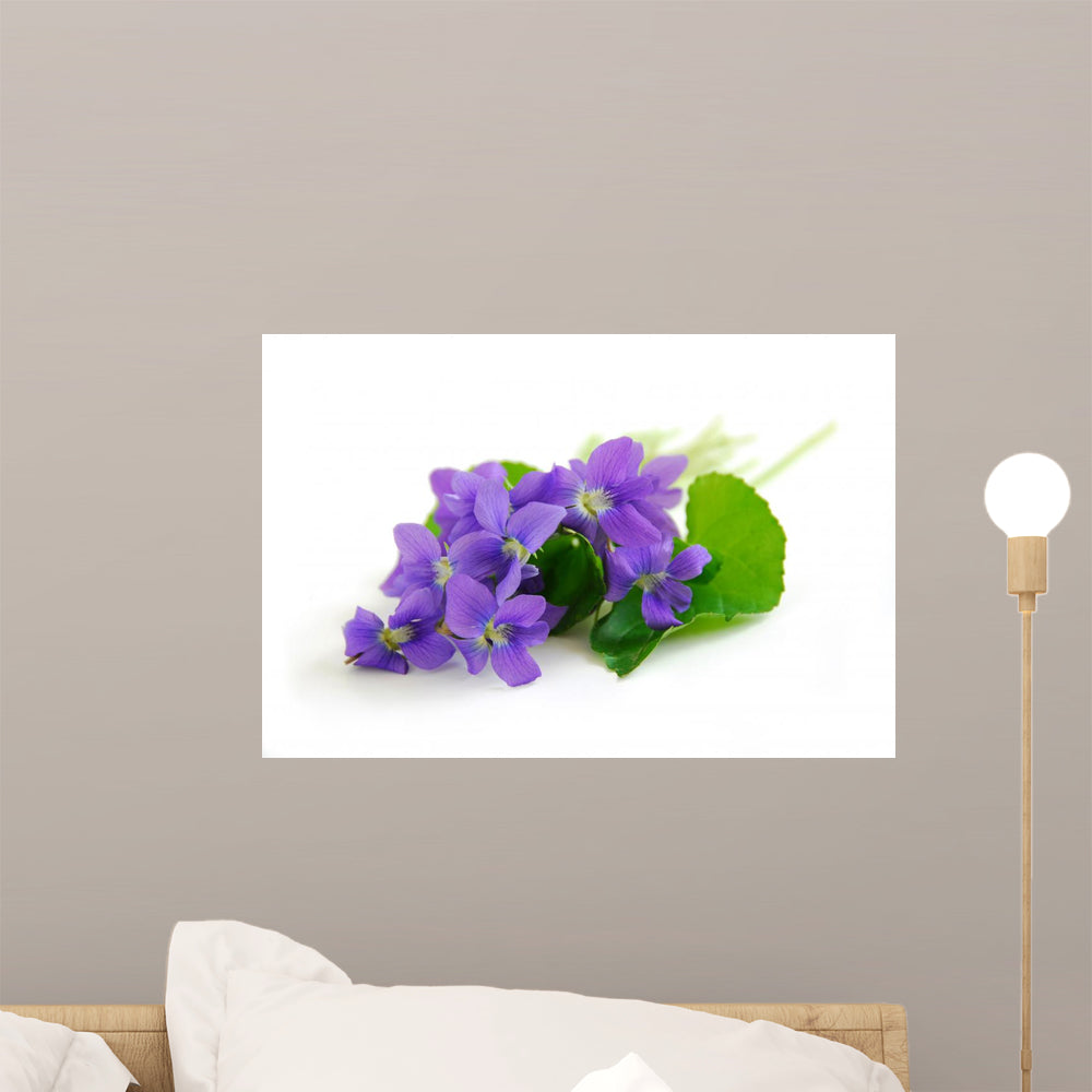 Violets On White Background Wall Decal - WallMonkeys.com – Wallmonkeys