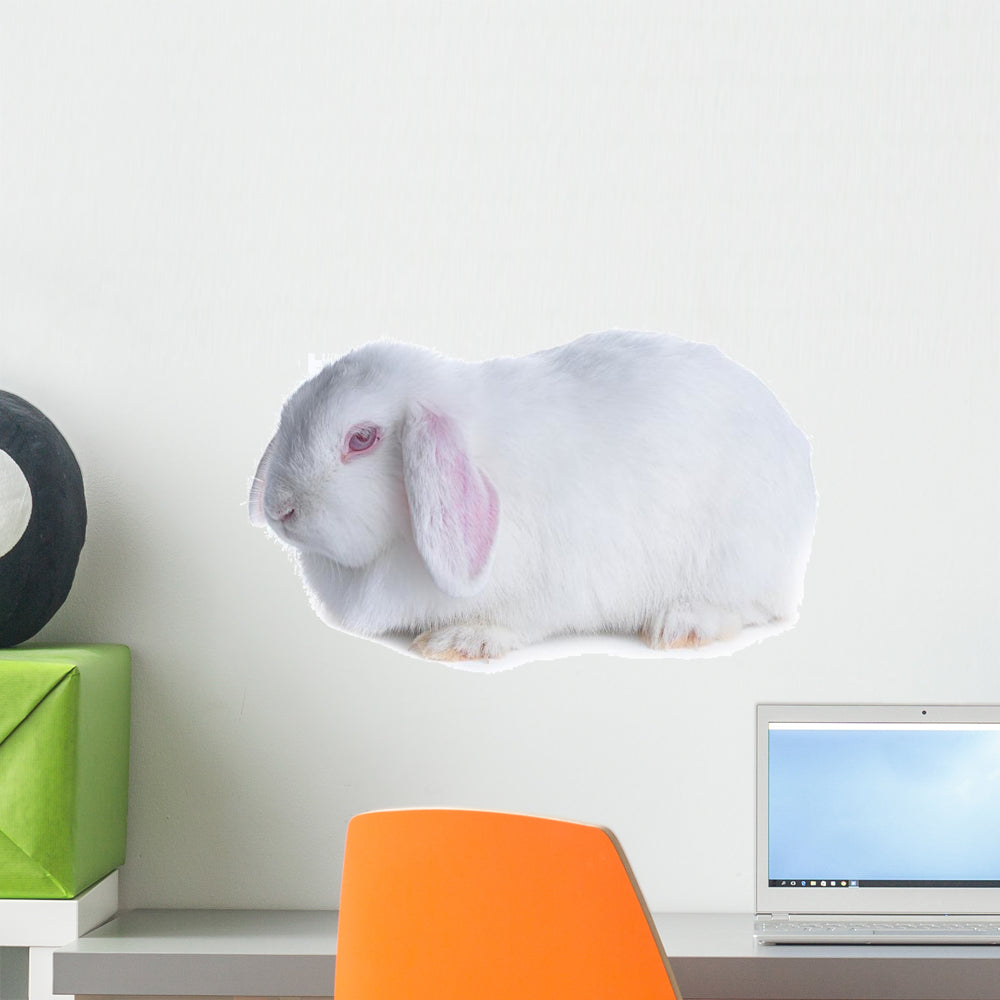 White Rabbit White Wall Decal - WallMonkeys.com – Wallmonkeys