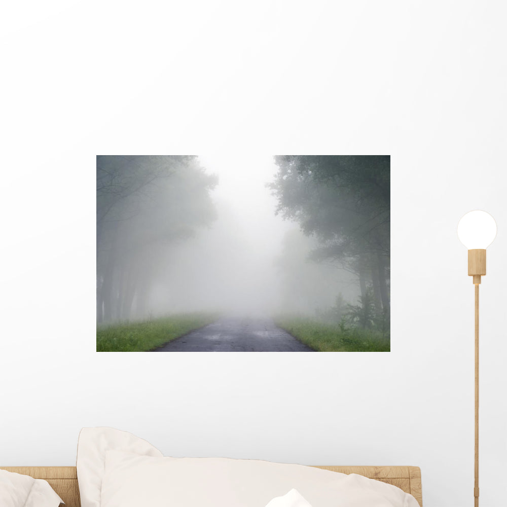 Foggy Road Wall Decal - WallMonkeys.com – Wallmonkeys
