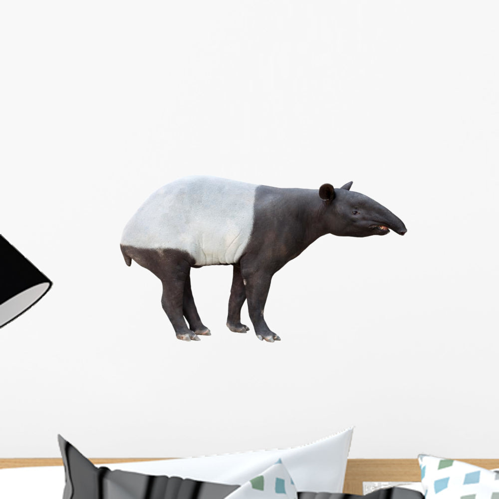 Malayan Tapir Wall Decal - WallMonkeys.com – Wallmonkeys