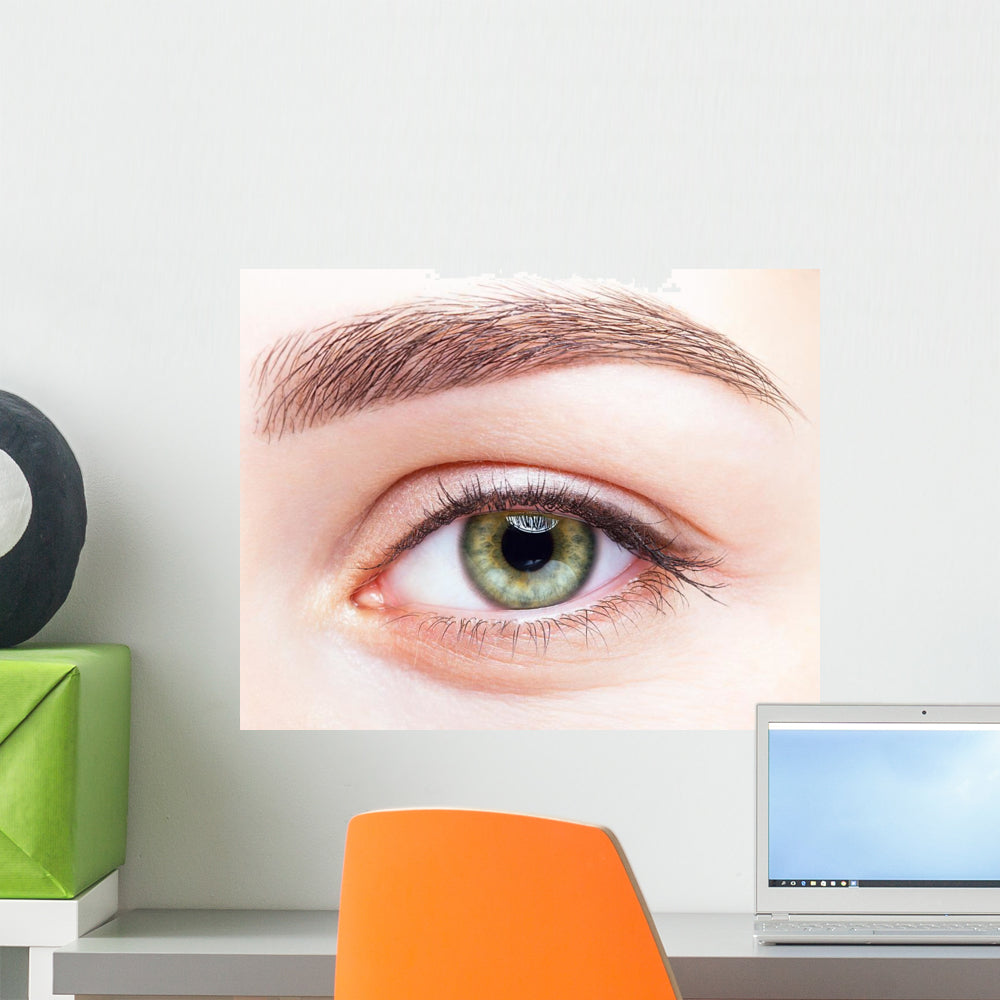 Female Eye Zone And Brows With Day Makeup Wall Decal 2 - WallMonkeys ...