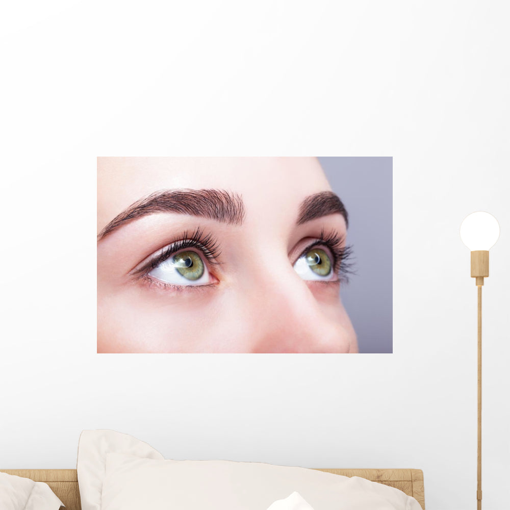 Female Eye Zone And Brows With Day Makeup Wall Decal - WallMonkeys.com ...