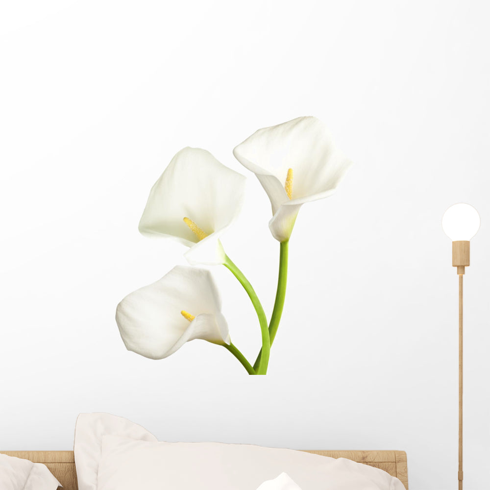Calla Lily Flowers Wall Decal - WallMonkeys.com – Wallmonkeys