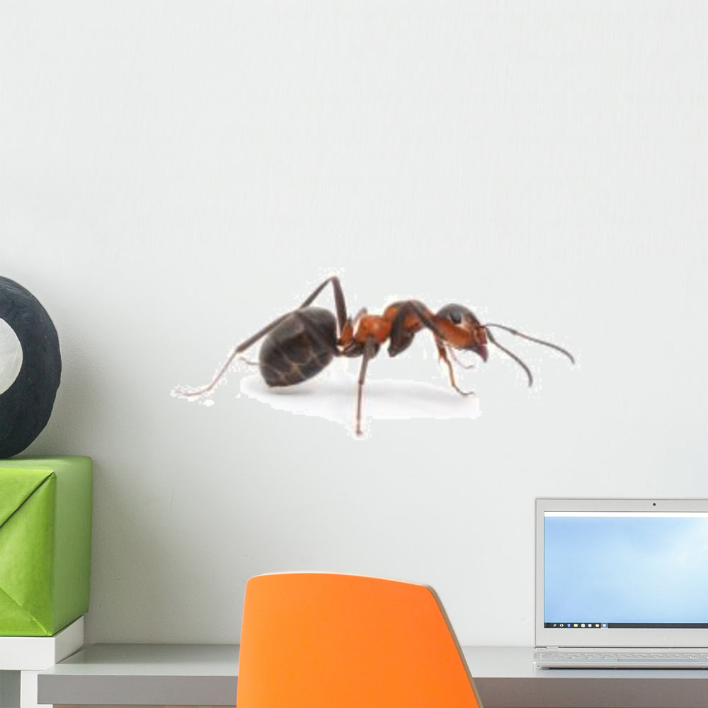 Red Ant Wall Decal - WallMonkeys.com – Wallmonkeys