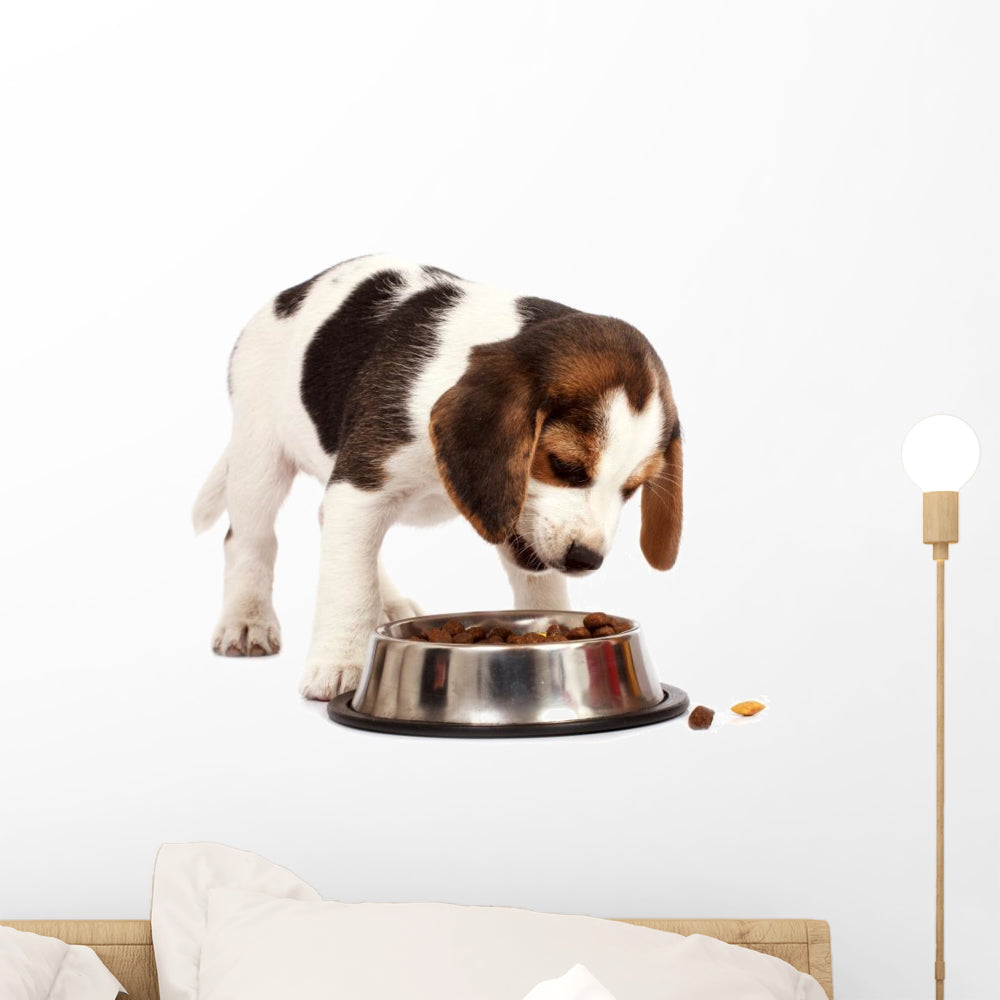 Beagle Puppy Wall Decal - WallMonkeys.com – Wallmonkeys