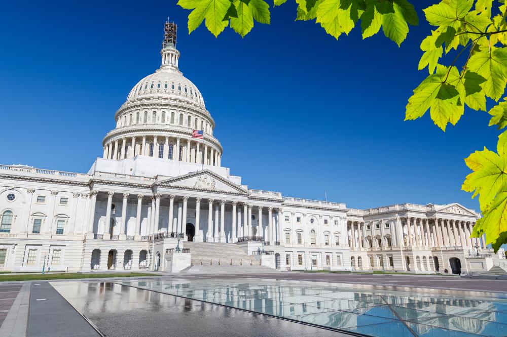 Us Capitol Wall Decal - WallMonkeys.com – Wallmonkeys