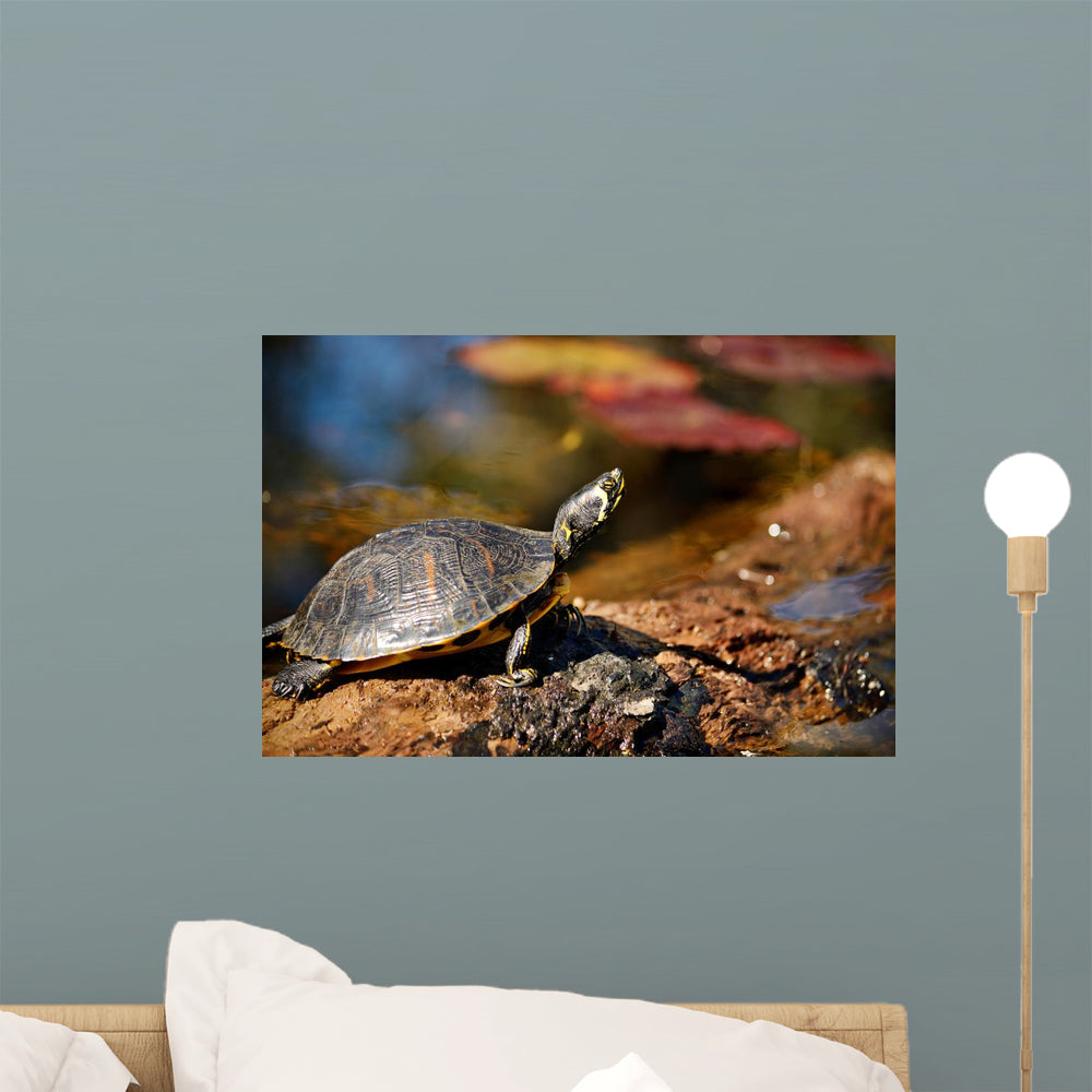 Turtle Sitting Log Swamp Wall Decal - WallMonkeys.com – Wallmonkeys