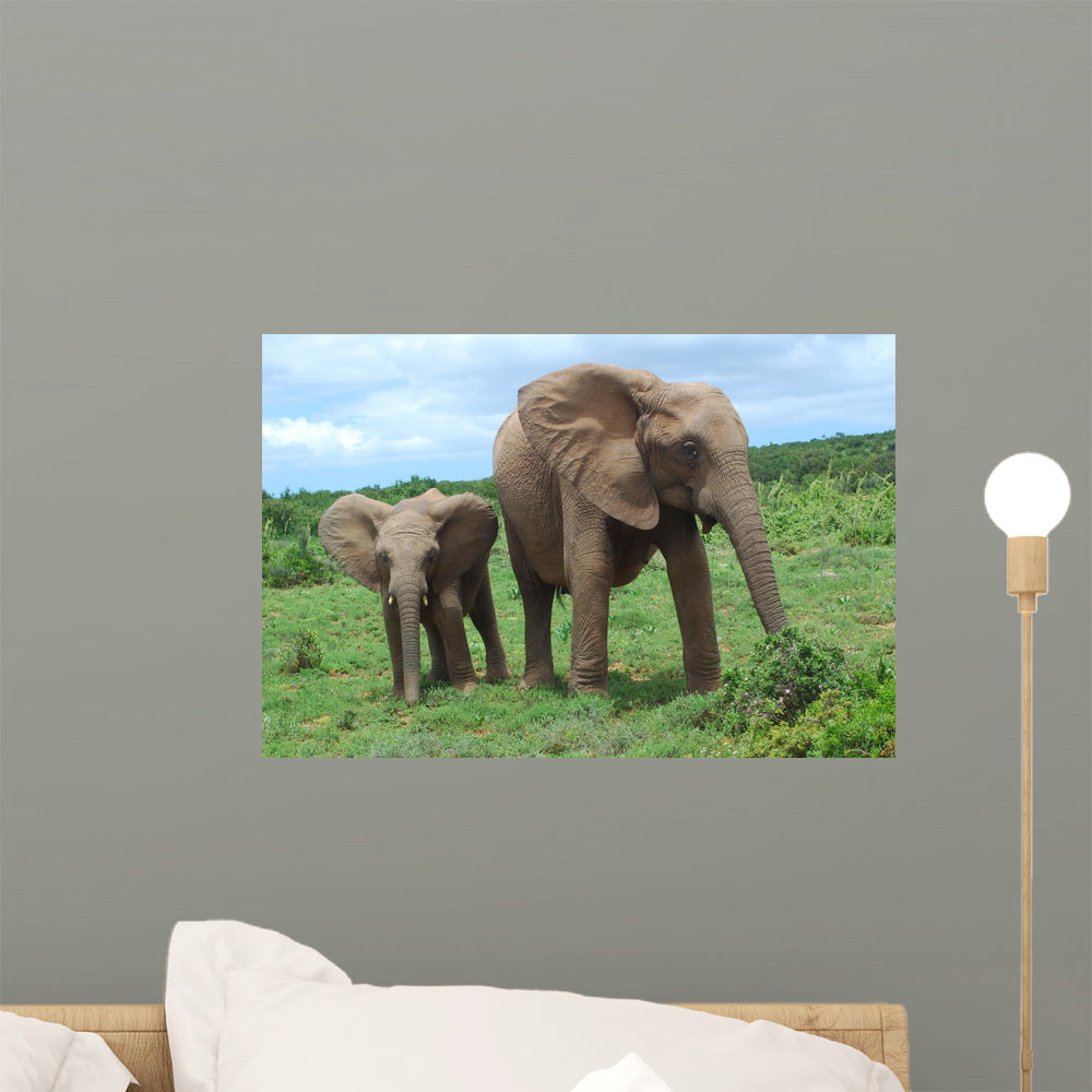 African Elephants Wall Decal - WallMonkeys.com – Wallmonkeys