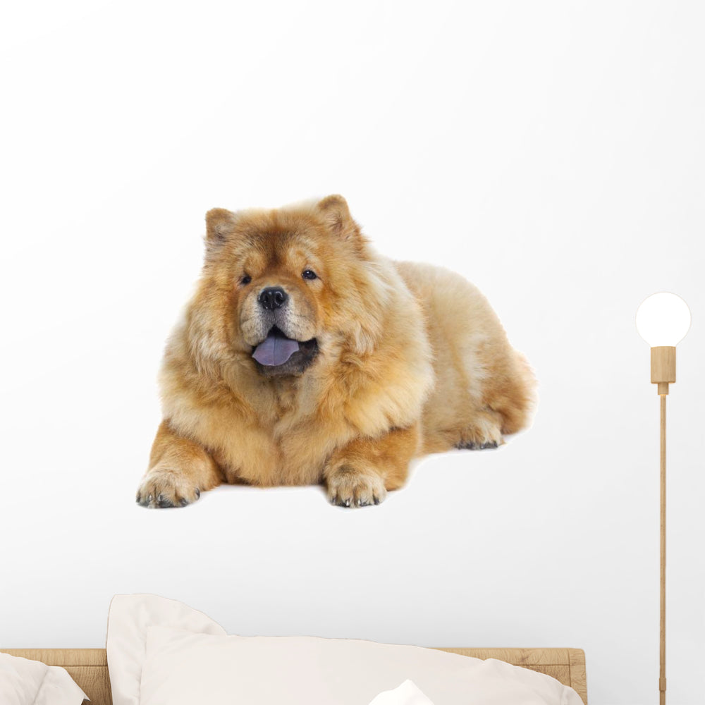 Chow-chow Dog Wall Decal Design 2 - WallMonkeys.com – Wallmonkeys