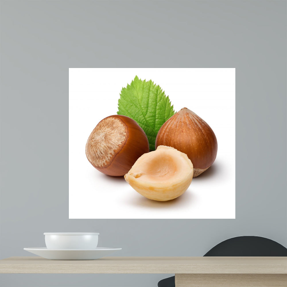 Hazelnut Wall Decal - WallMonkeys.com – Wallmonkeys