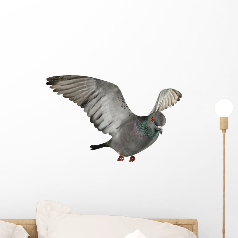 Flying Pigeon Wall Decal - WallMonkeys.com – Wallmonkeys