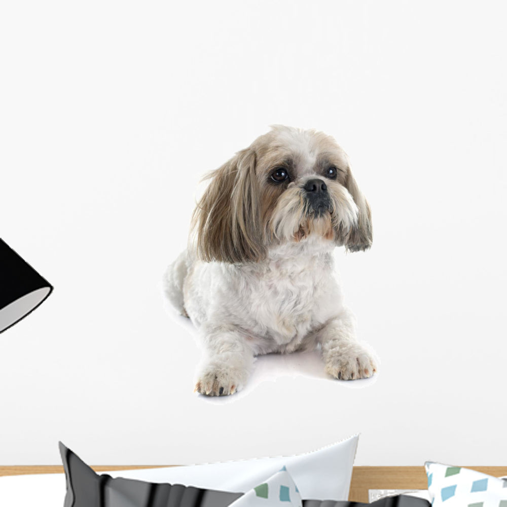 Shih Tzu Wall Decal - WallMonkeys.com – Wallmonkeys