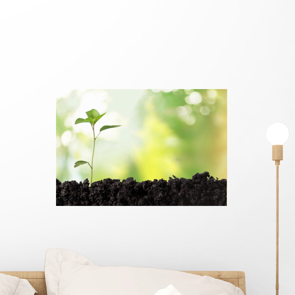 Seedling Newborn Oak Tree Wall Decal - WallMonkeys.com – Wallmonkeys