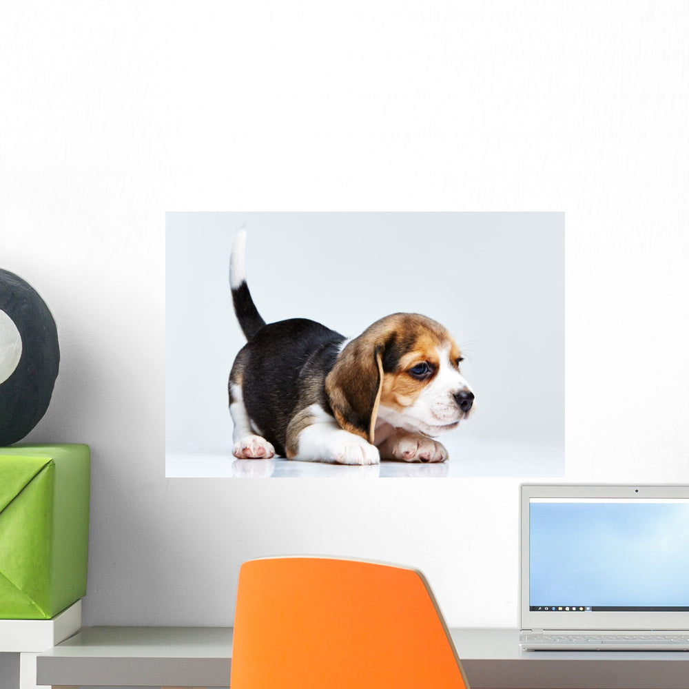 Beagle Puppy Wall Decal – Wallmonkeys