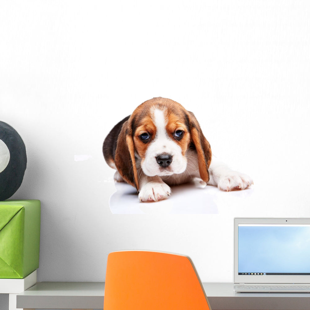 Beagle Puppy Wall Decal – Wallmonkeys