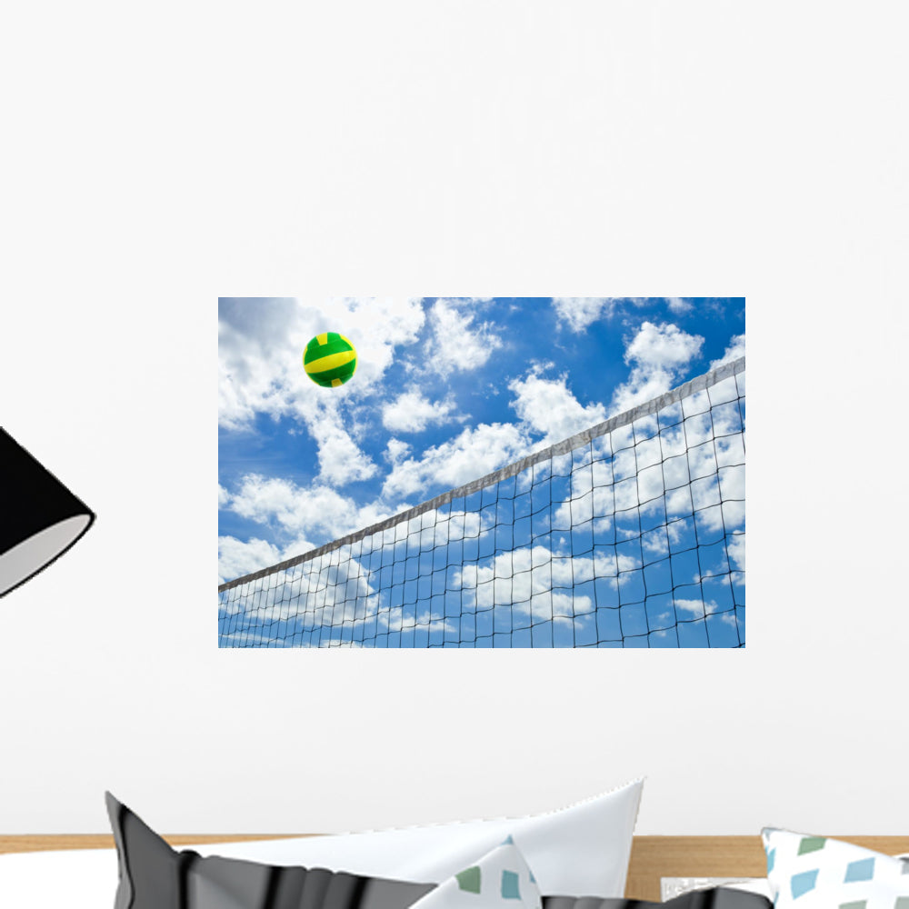 Volleyball Wall Mural – Wallmonkeys