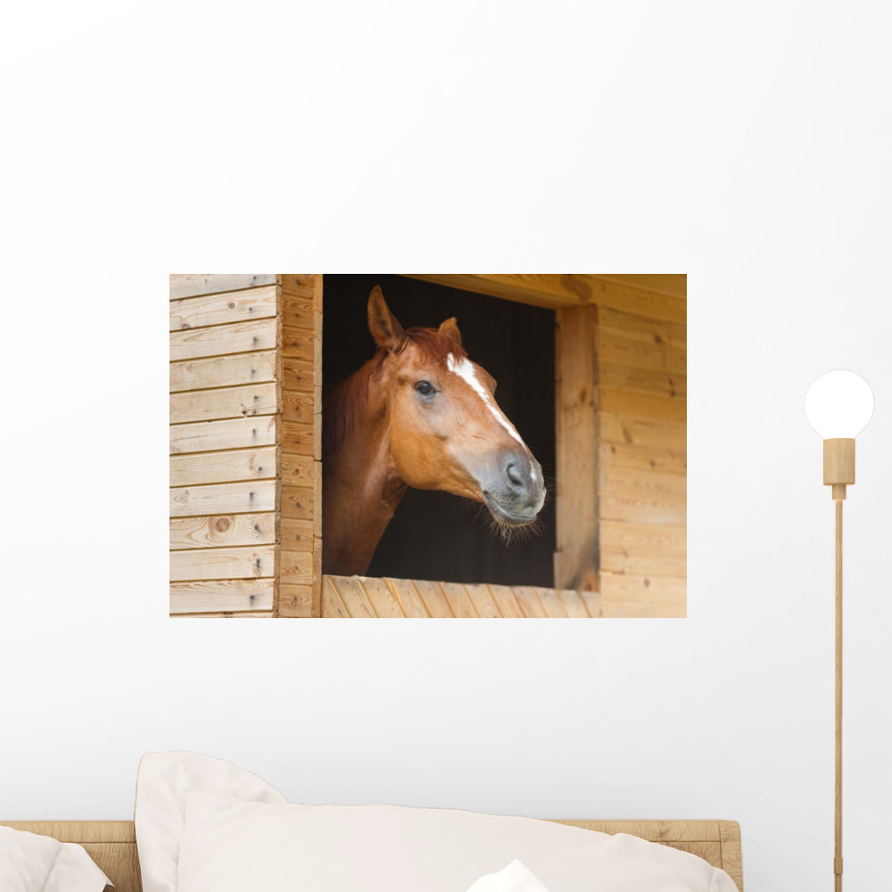 Horse Stable Wall Decal - WallMonkeys.com – Wallmonkeys