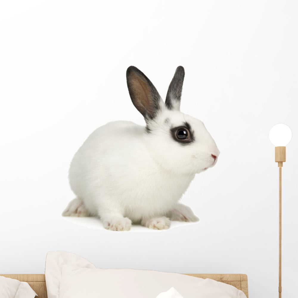 Rabbit Wall Decal - WallMonkeys.com – Wallmonkeys