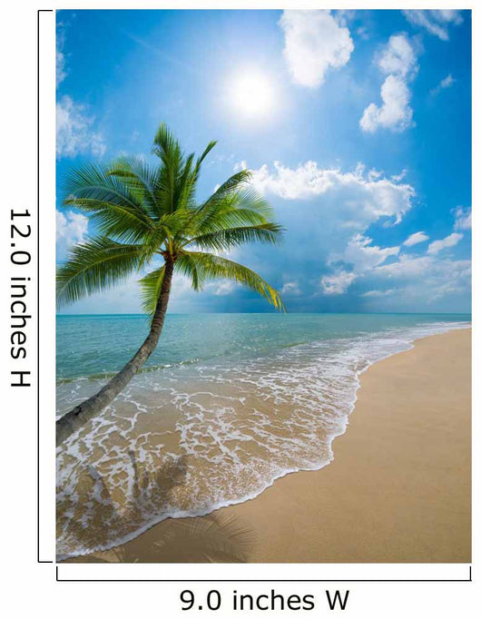 Beautiful Tropical Beach Wall Decal - WallMonkeys.com – Wallmonkeys
