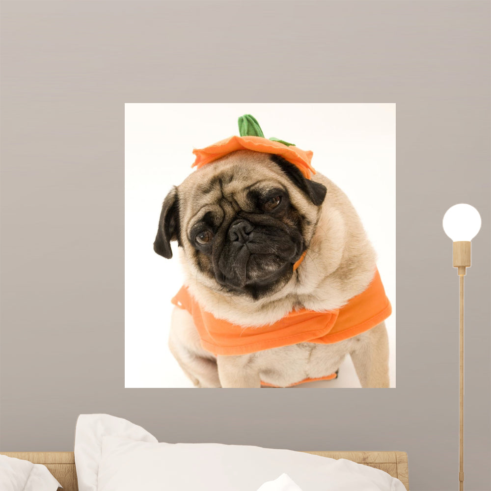 Bigstock Shutterstock Wall Decal Wall Decal - WallMonkeys.com – Wallmonkeys