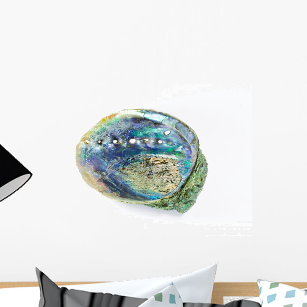 Paua Shell Wall Decal - WallMonkeys.com – Wallmonkeys
