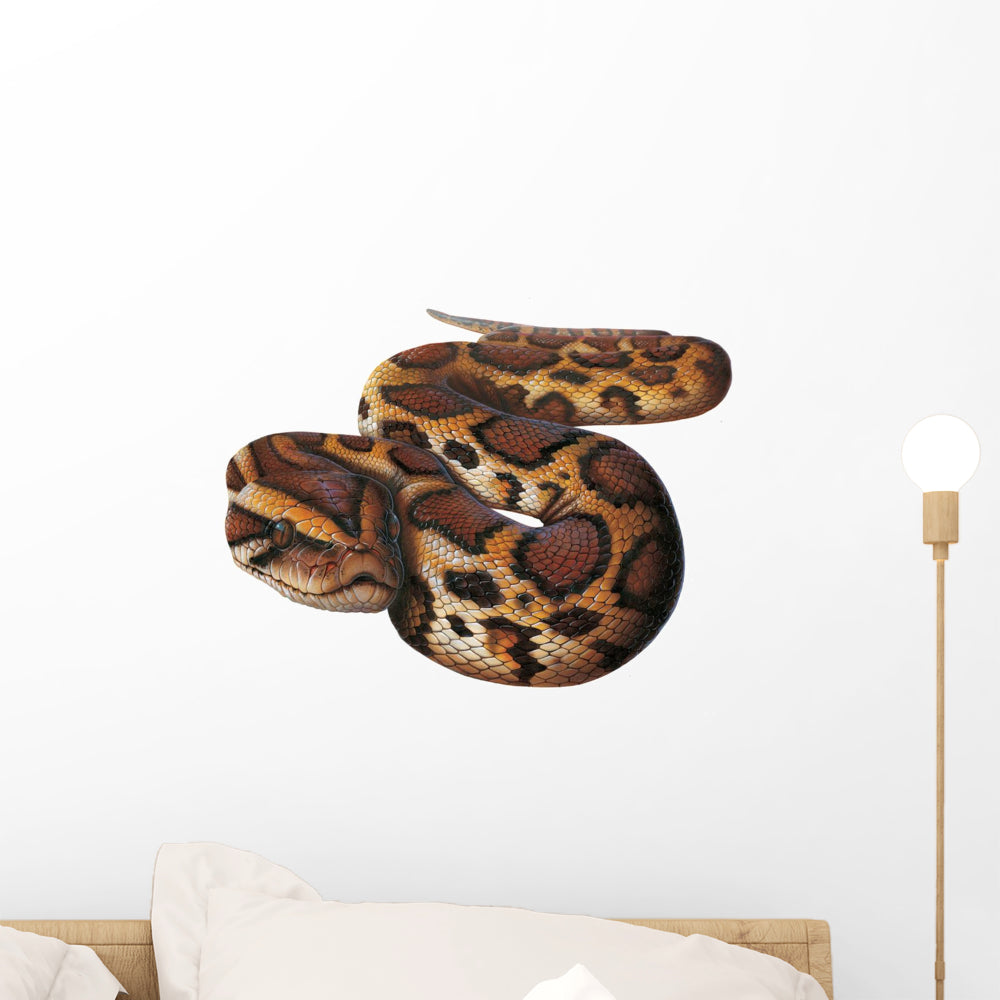 Asian Python Snake Wall Decal – Wallmonkeys