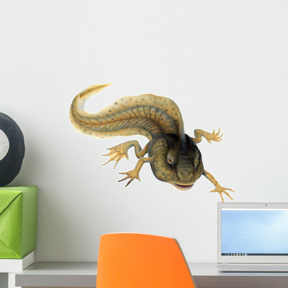Paradoxical Frog Tadpole Wall Decal – Wallmonkeys