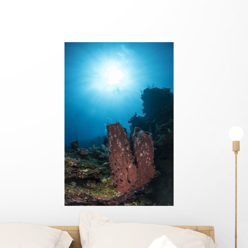 Sponge Reef Roatan Honduras Wall Decal - WallMonkeys.com – Wallmonkeys