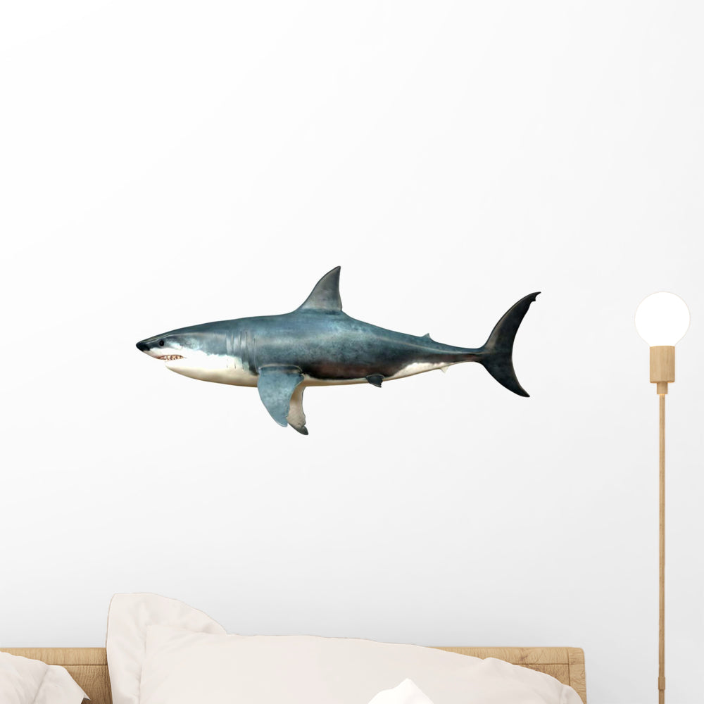 Megalodon Shark from Cenozoic Wall Decal Design 1 - WallMonkeys.com ...