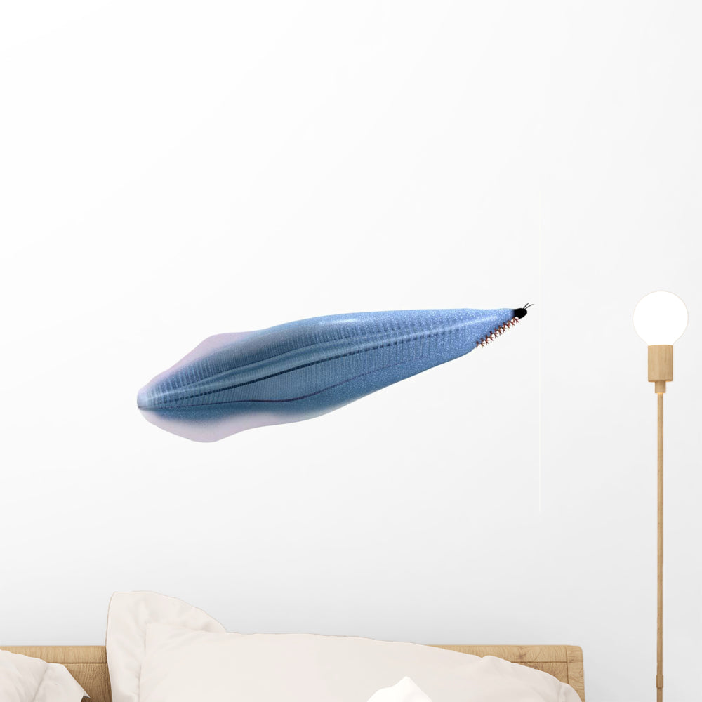 Illustration Pikaia Wall Decal Design 2 - WallMonkeys.com – Wallmonkeys