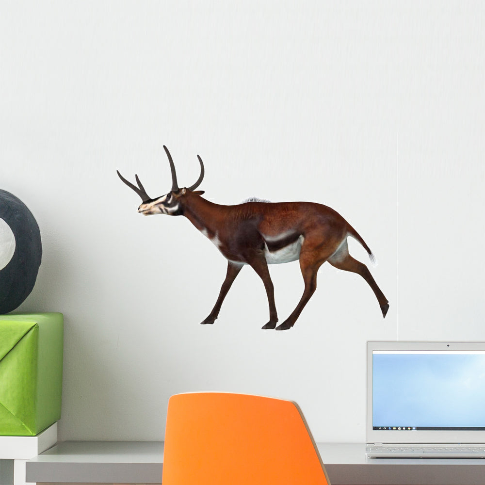 Kyptoceras White Wall Decal Design 1 - WallMonkeys.com – Wallmonkeys
