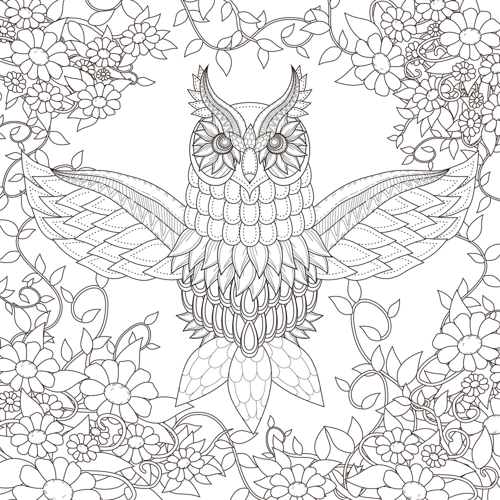 Owl Coloring Page Decal – Wallmonkeys