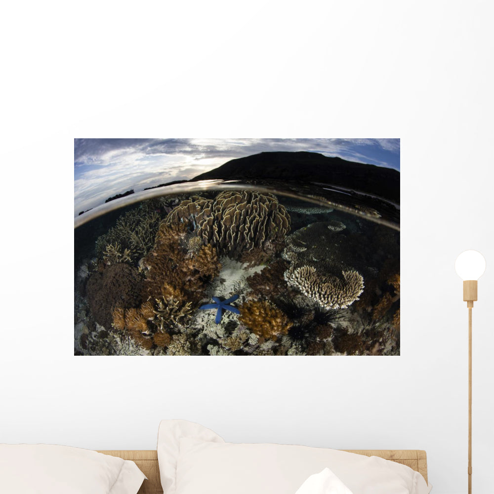 Array Corals and Invertebrates Wall Decal - WallMonkeys.com – Wallmonkeys