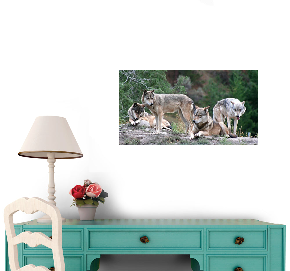 Timber Wolves Wall Decal - WallMonkeys.com – Wallmonkeys