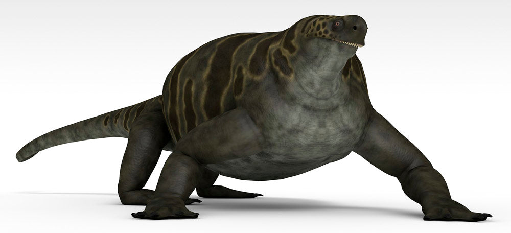 Cotylorhynchus Large Synapsid Early Wall Decal Design 2 – Wallmonkeys