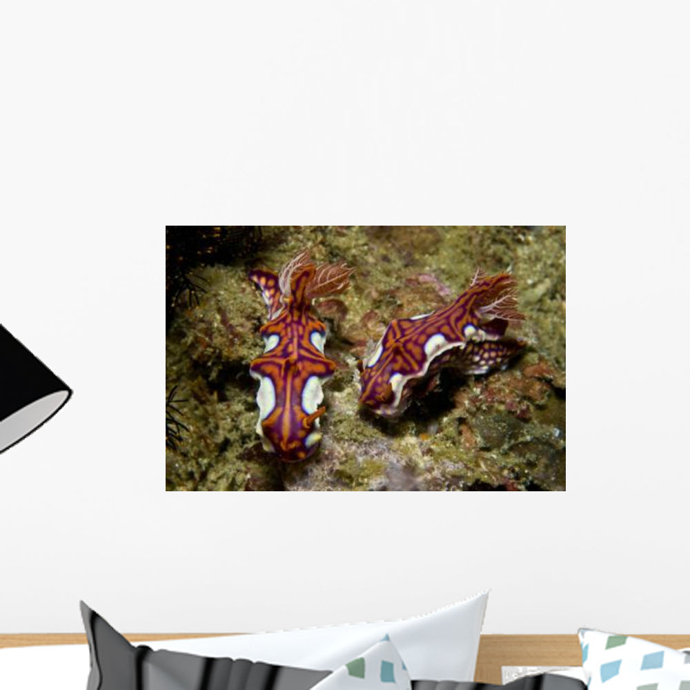 Pair Miamira Magnifica Nudibranch Wall Decal - WallMonkeys.com ...