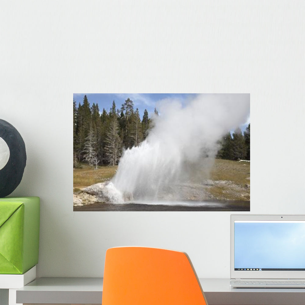 Riverside Geyser Erupting Upper Wall Decal Design 2 - WallMonkeys.com ...