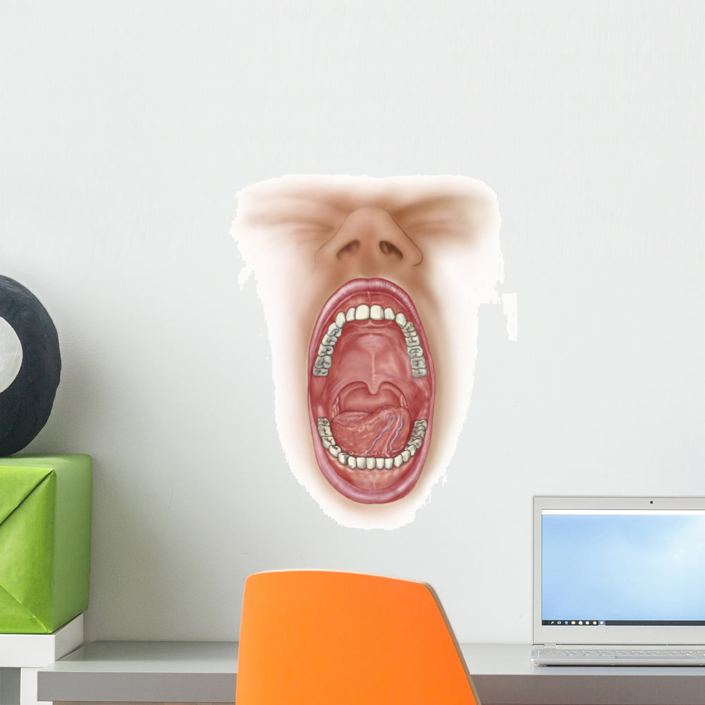 Anatomy Human Mouth Cavity Wall Decal Design 2 - WallMonkeys.com ...