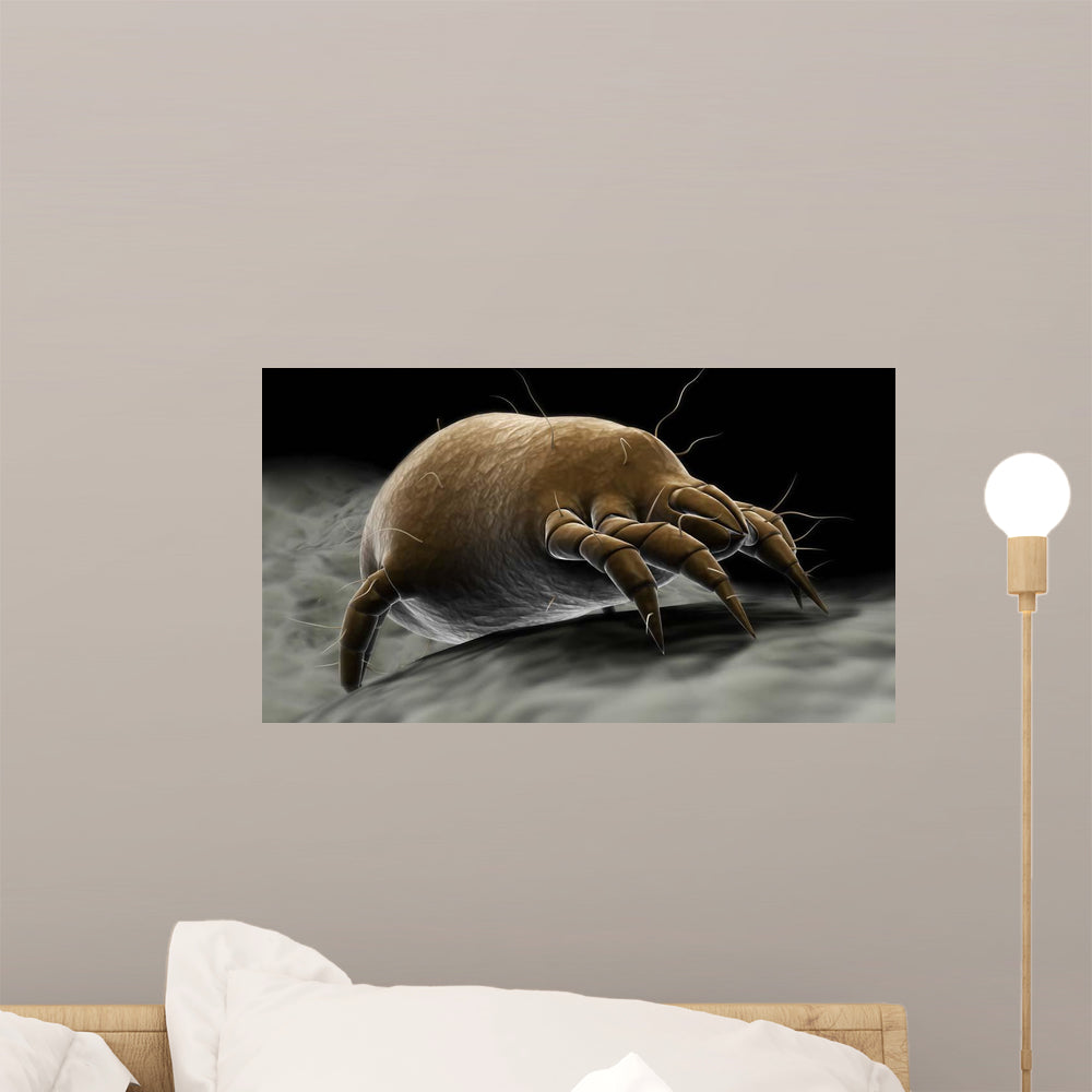 Microscopic Visualization Dust Mite Wall Decal Design 4 - WallMonkeys ...