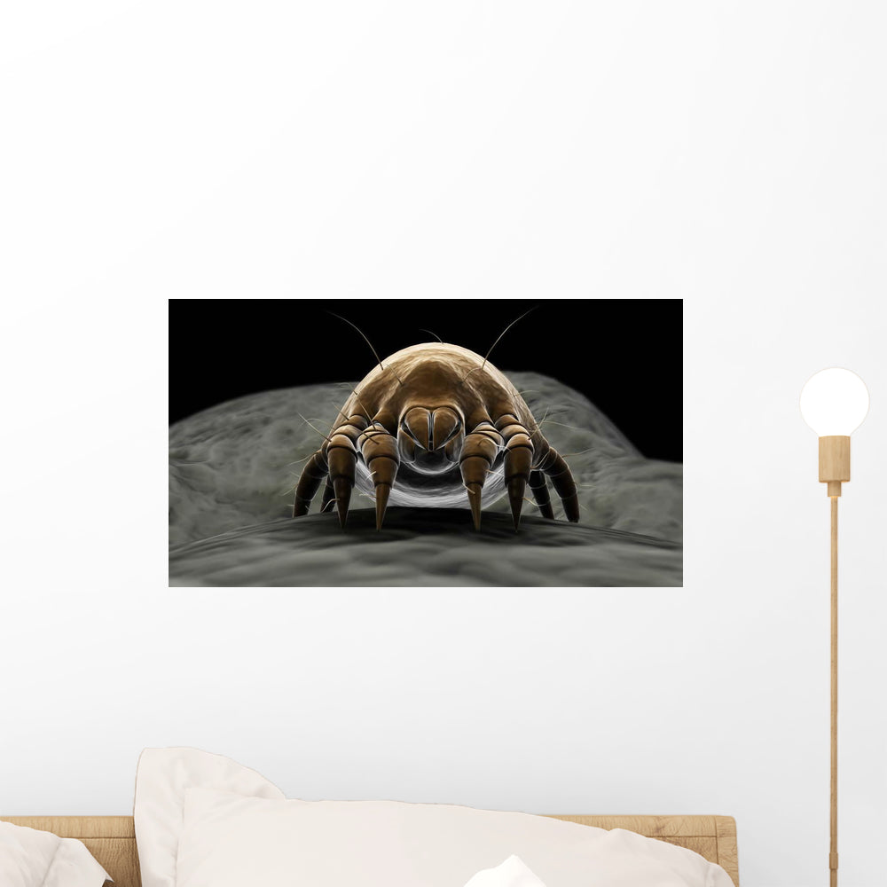 Microscopic Visualization Dust Mite Wall Decal Design 3 - WallMonkeys ...
