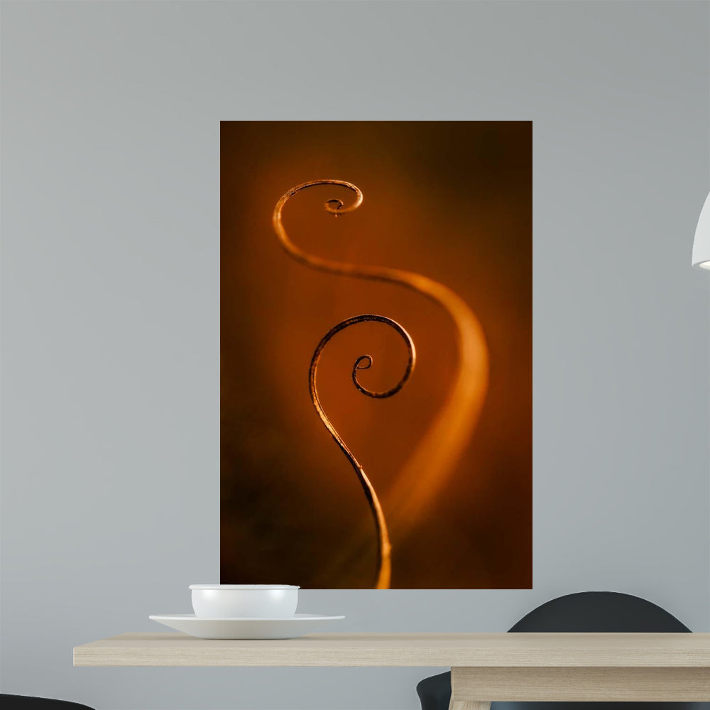 Tendrils Red Wall Decal - WallMonkeys.com – Wallmonkeys