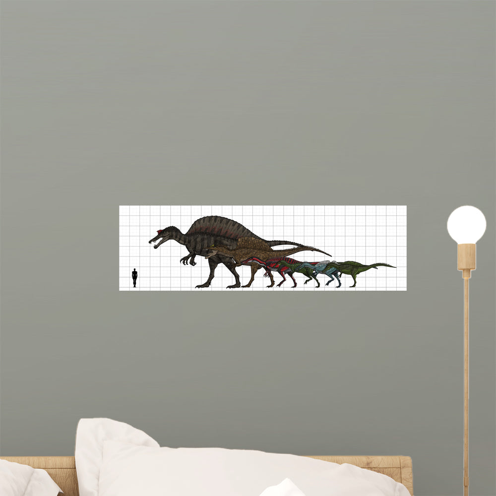 Spinosauridae Size Chart Wall Decal - WallMonkeys.com – Wallmonkeys
