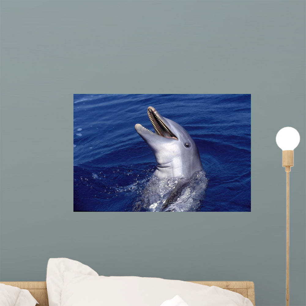 Bottlenose Dolphin Roatan Bay Wall Decal - WallMonkeys.com – Wallmonkeys