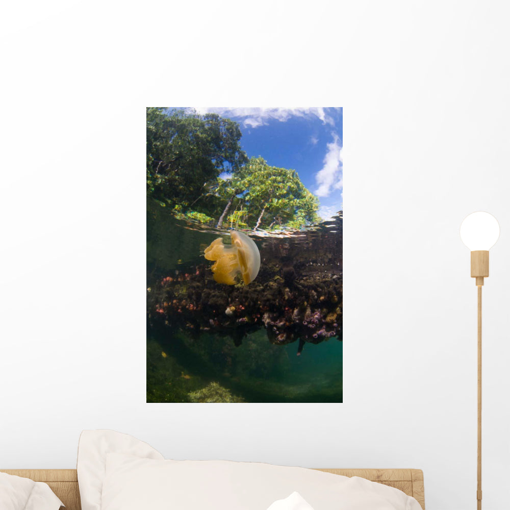 Jellyfish Surface Kakaban Island Wall Decal Design 1 - WallMonkeys.com ...