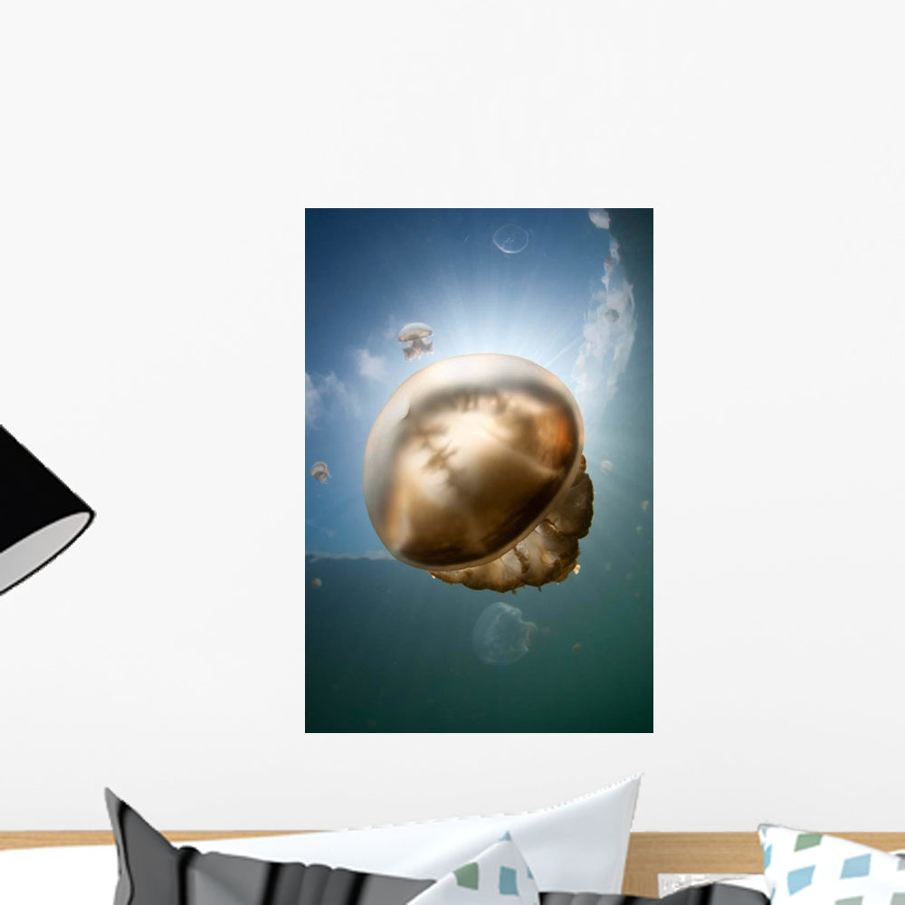 Sunrays Illuminate Jellyfish Kakaban Wall Decal Design 4 - WallMonkeys ...